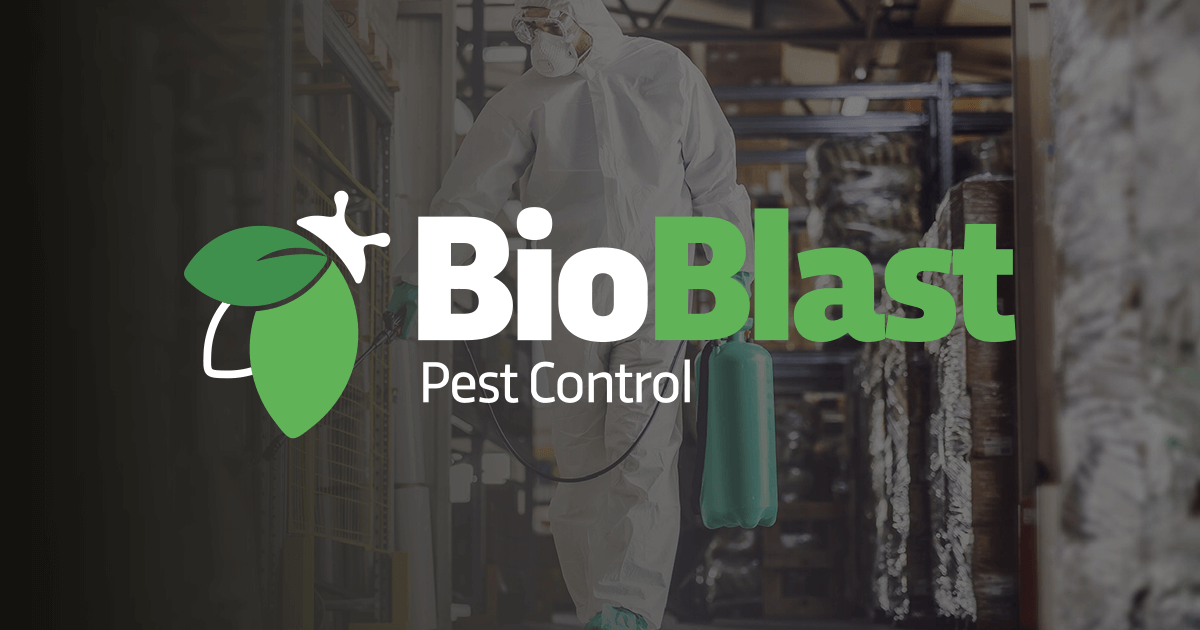 BioBlast | Control de Plagas Inteligente